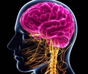 Alimentazione per il Cervello: Nutrienti e Cibi per una Mente Sana e Attiva
